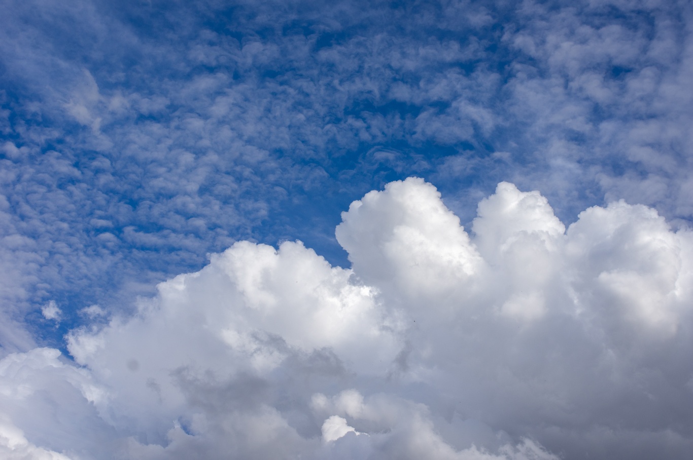 Mon Parc Valorem fête sa première année ! - VALOREM