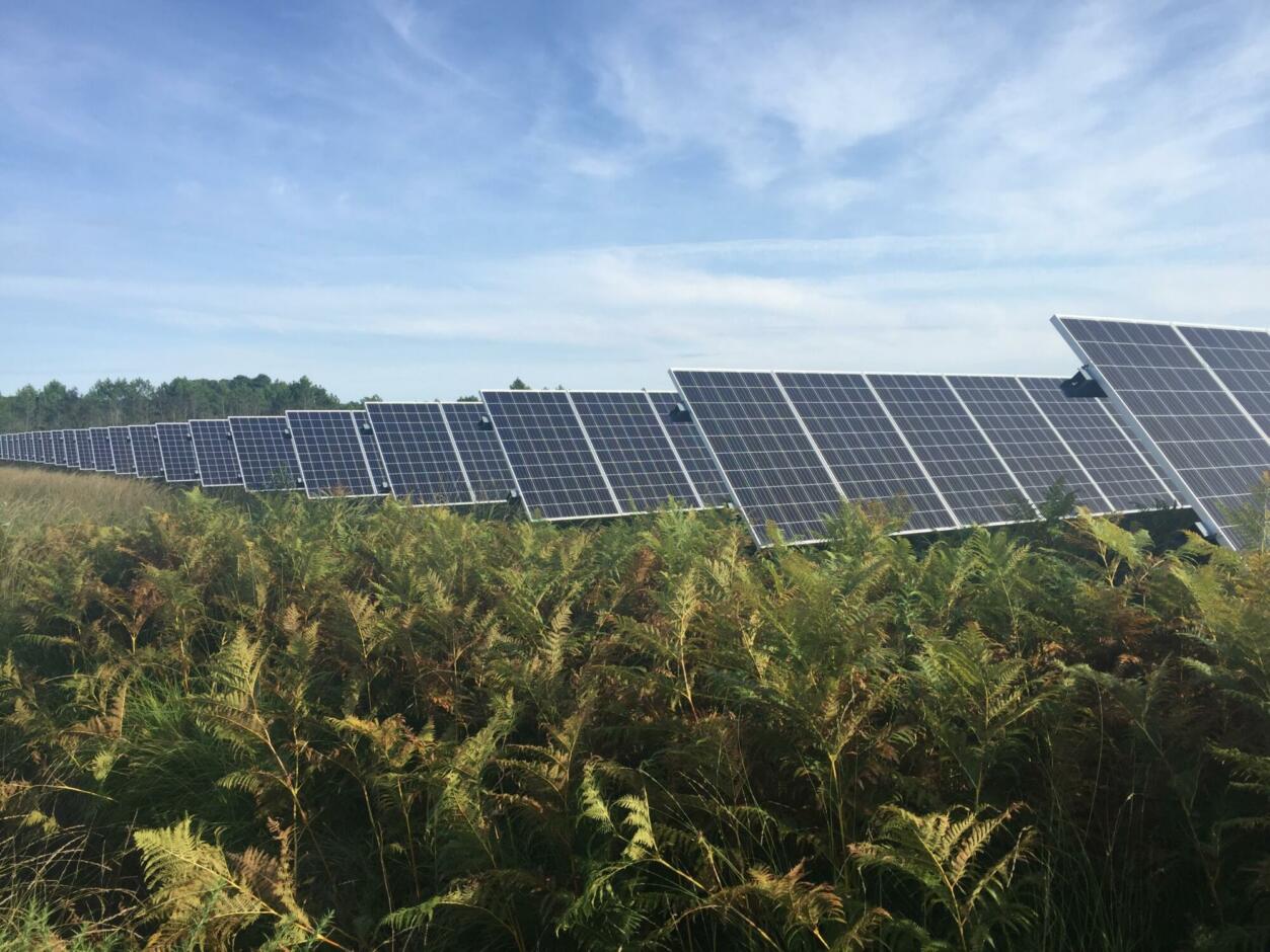Brach solar farm - Valorem