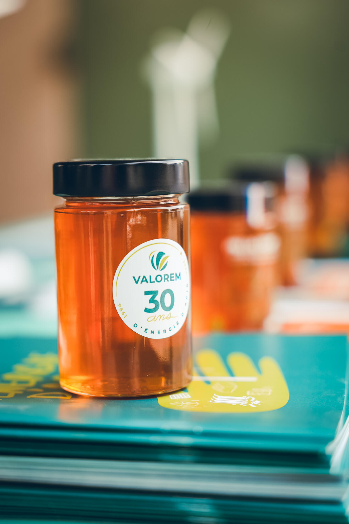 Le Groupe VALOREM, producteur indépendant d'énergies vertes célèbre ses ...